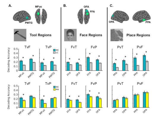 Mapping Human Brain Functions Using Hpc Risc2 Project 2123